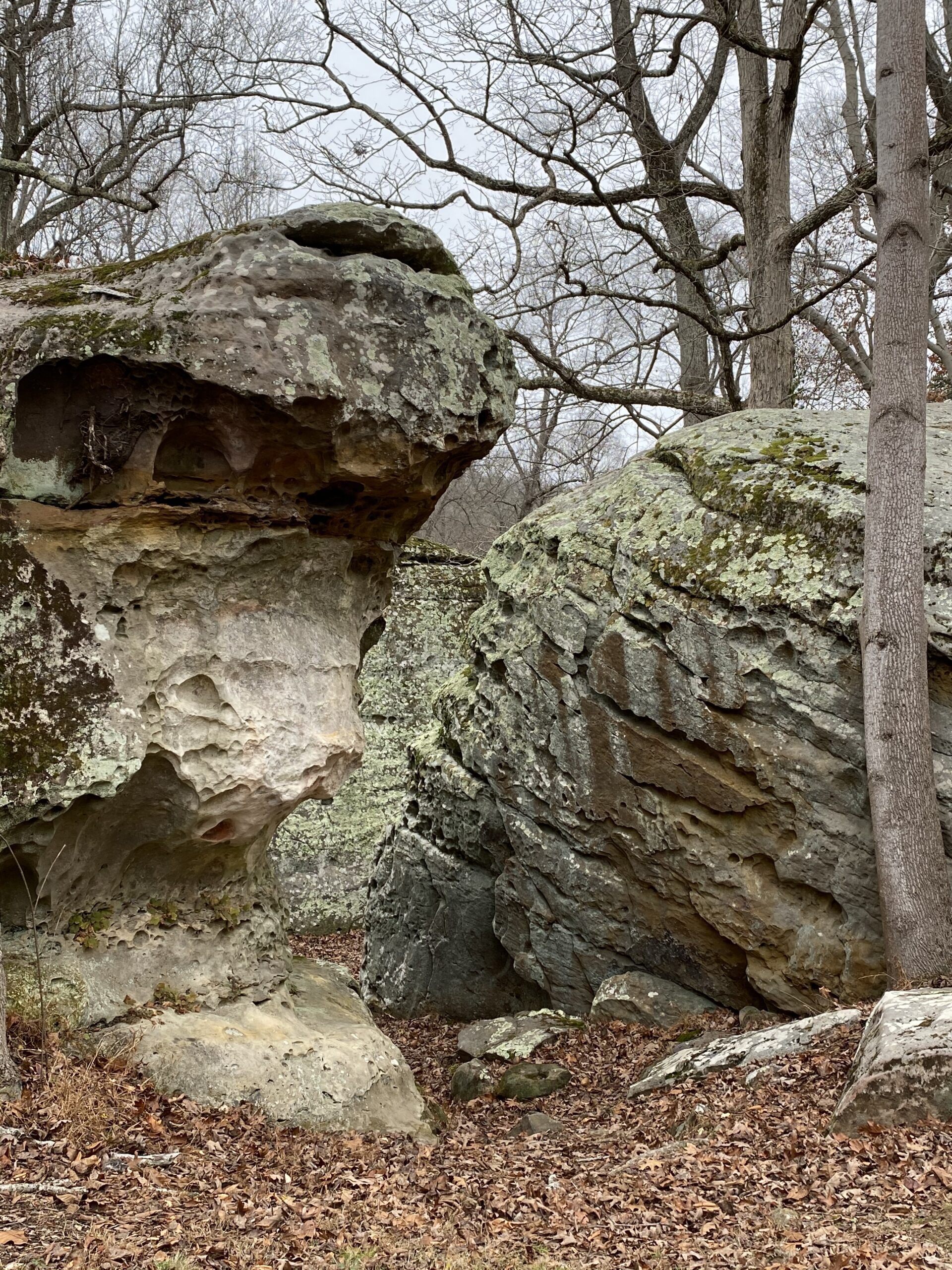 Unusual Illinois Camping at Dixon Springs State Park - Wanderlust Just Go